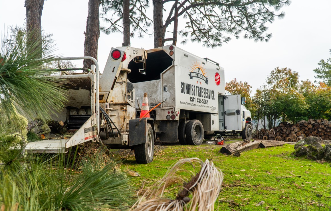 Sunrise Tree Service